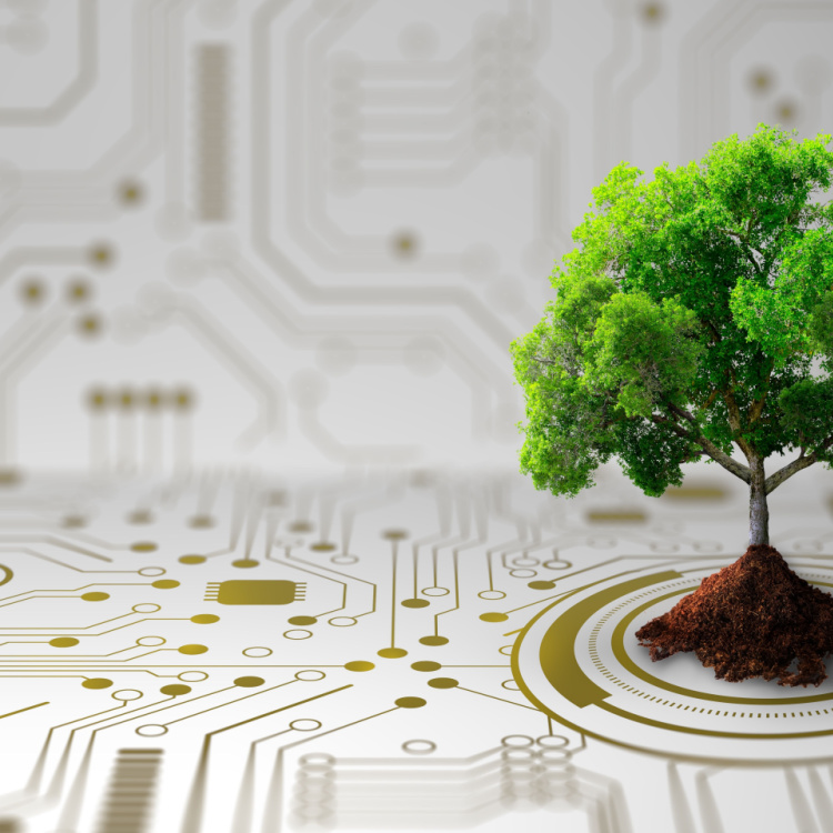 Electronics Leaders Weigh In on Sustainability Challenges | IMI