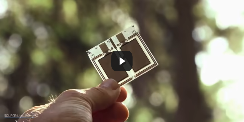 Have You Heard of Wooden Batteries? | IMI